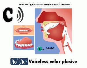 All Articulation Cards - Slpa.ca