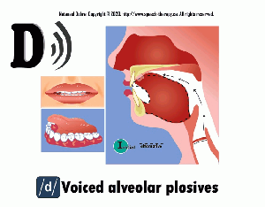 All Articulation Cards - Slpa.ca