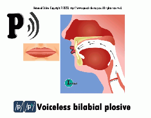 All Articulation Cards - Slpa.ca